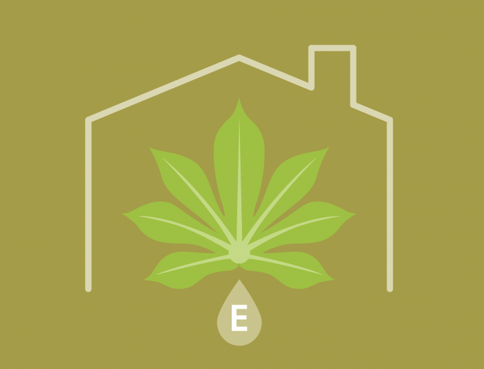 Overcoming Barriers to Support Technology Transfer: The Pilot Case of Ethanol Production from ...