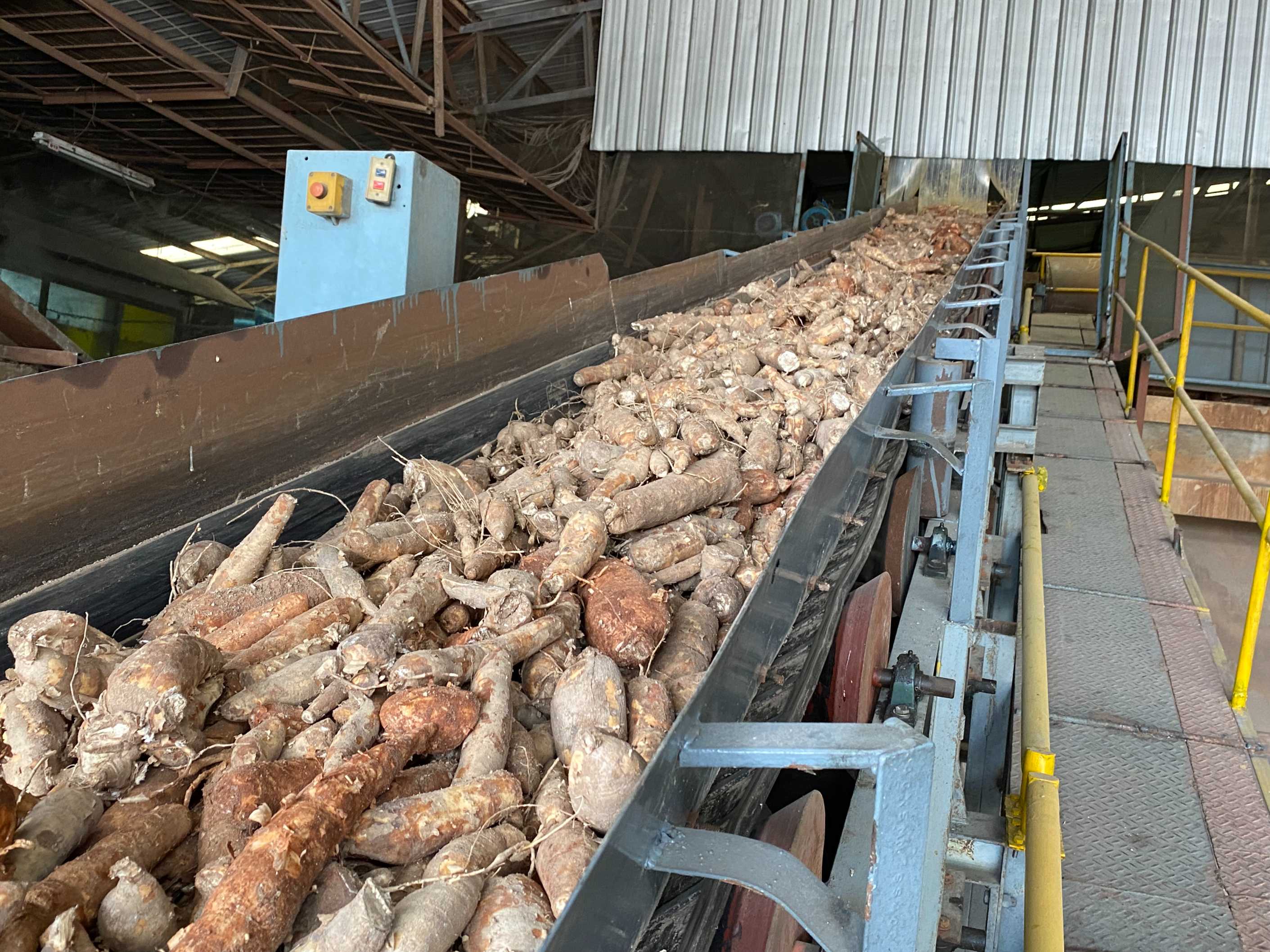 Vietnam: Starch Production Information | ASEAN Cassava Centre