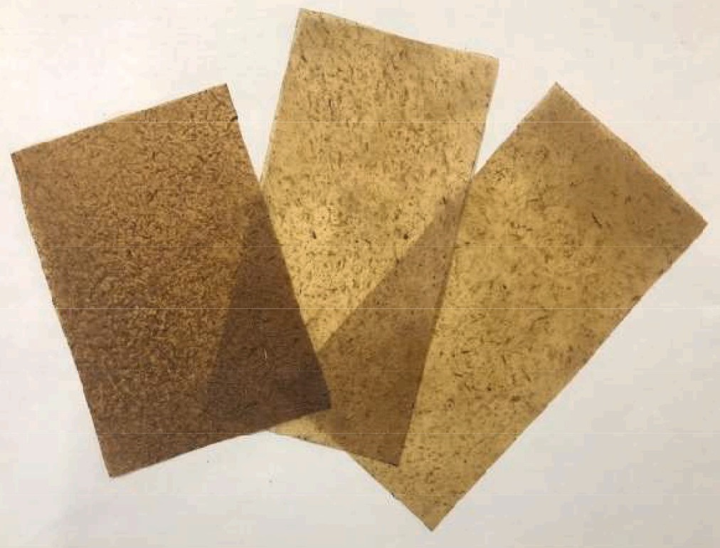 Novel Sustainable Packaging Solution Unveiled | ASEAN Cassava Centre