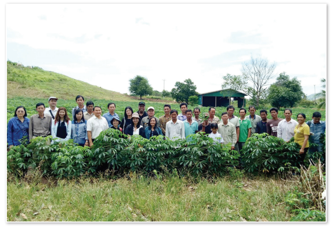 Development Program on Cassava in Border Provinces (Farm and Soil ...