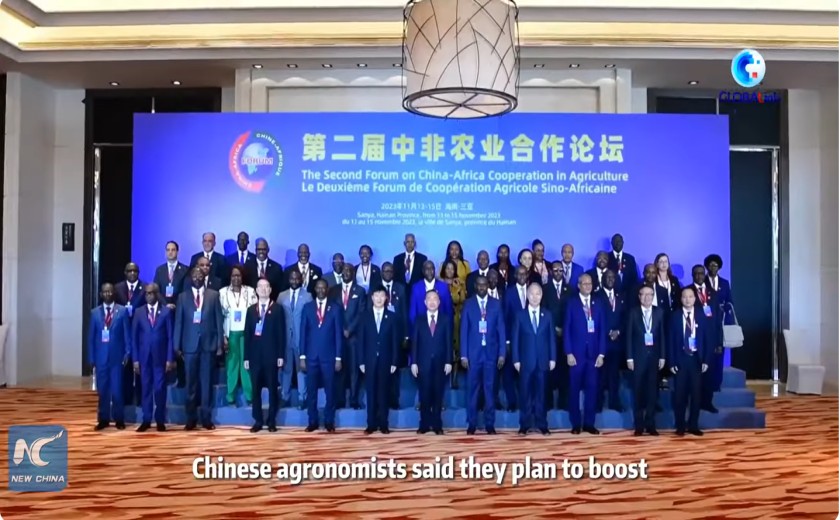 Cassava crops reflect growing agricultural cooperation between China ...