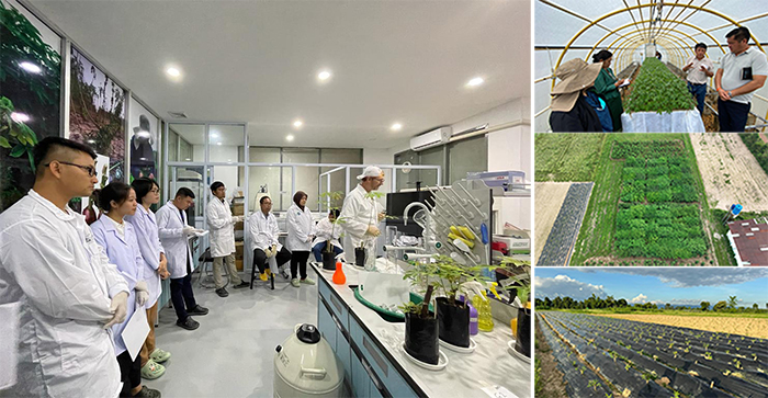 CMT’s 12th Starch Value Chain ASIA: Fostering Agri-Food Sector Growth ...